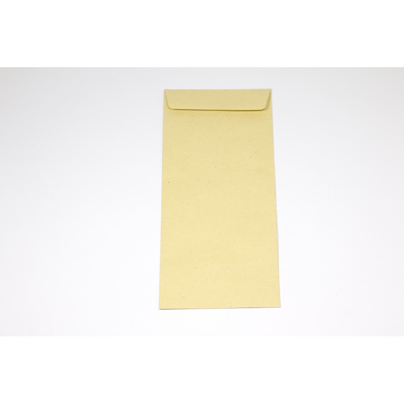 Manila Envelopes, 5 x 11, 500bx